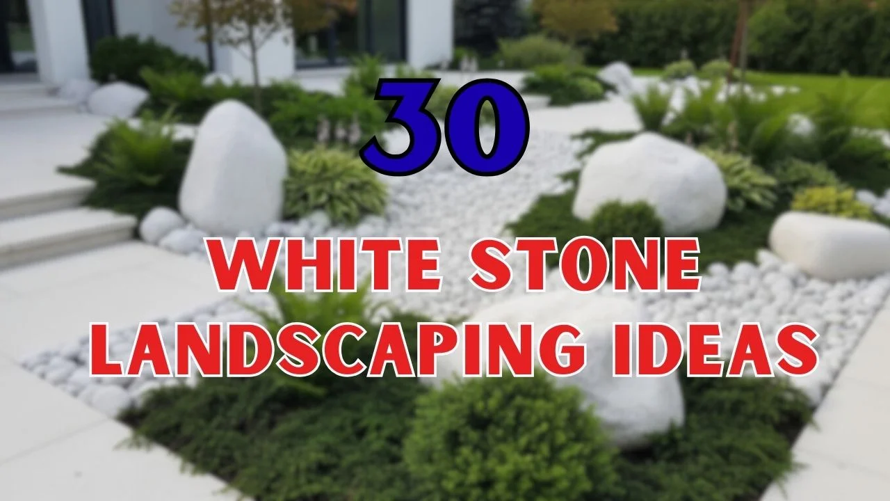 30 White Stone Landscaping Ideas with Plants and Design